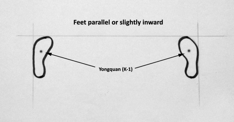 Horse Stance / Ma Bu in Qigong - PetarSmiljana Qigong